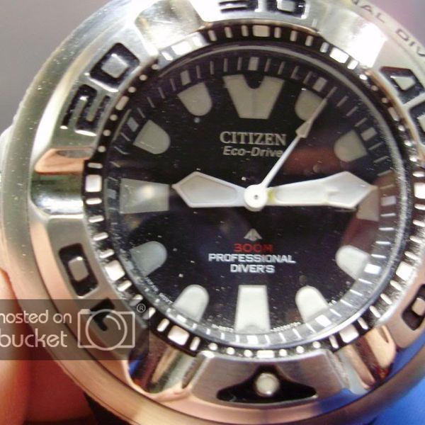 FS: Citizen "Eco-ZillA" 300 m Dive Watch | WatchCharts Marketplace