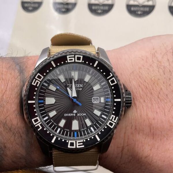 Citizen Promaster BN0085-01E Eco-Drive Date Divers 300M Quartz Mens ...