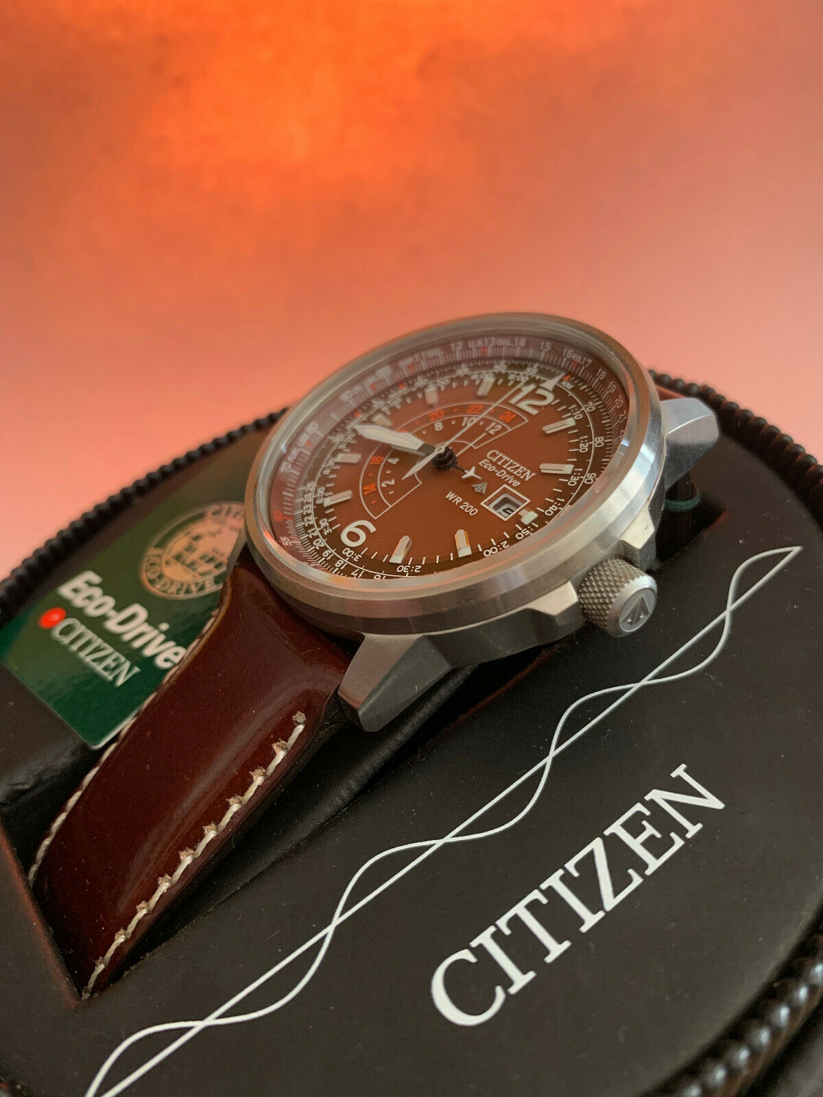 Citizen Promaster Eco Drive Pilot BJ7010-24W braun + Promaster Case ...