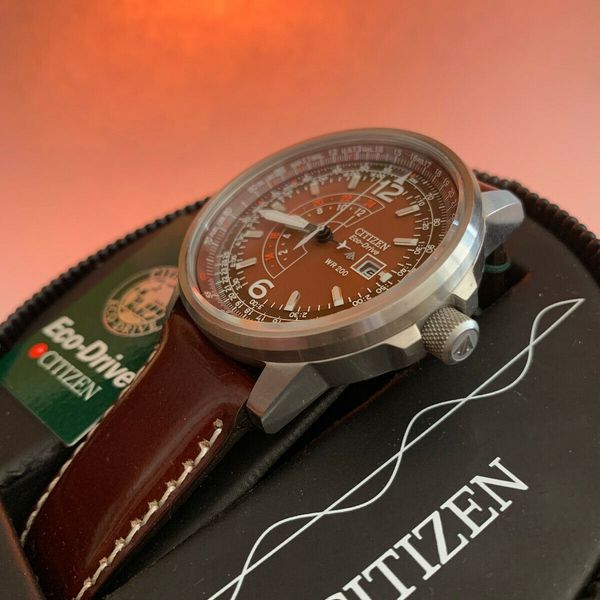 Citizen Promaster Eco Drive Pilot BJ7010-24W braun + Promaster Case ...