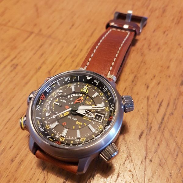 OHPF Titanium Citizen Altichron (Promaster) | WatchCharts