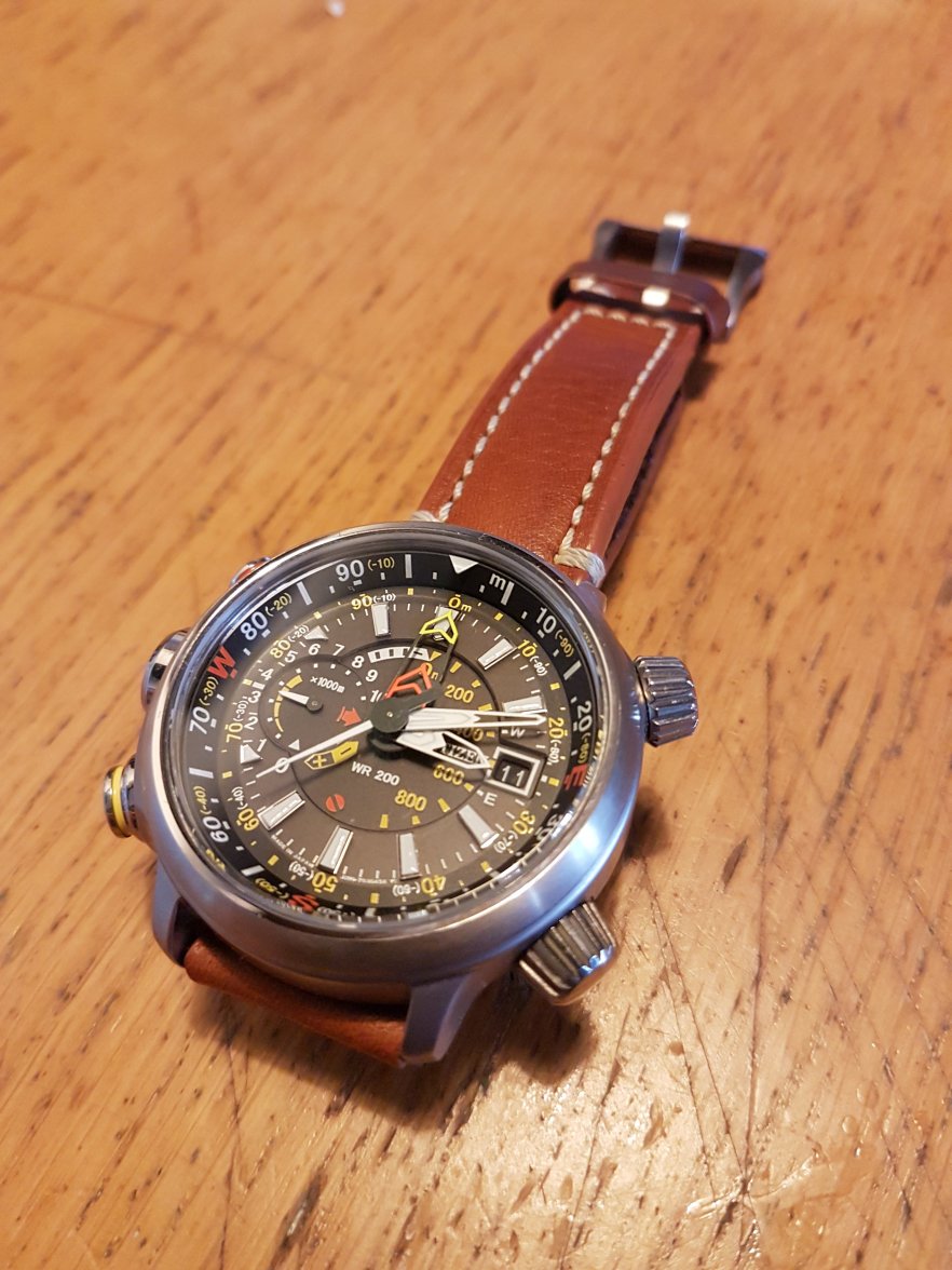 OHPF Titanium Citizen Altichron (Promaster) | WatchCharts