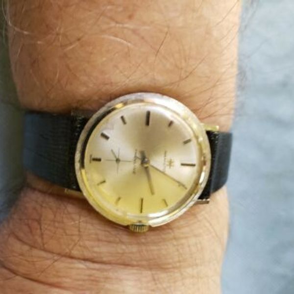 Hamilton thinline | WatchCharts