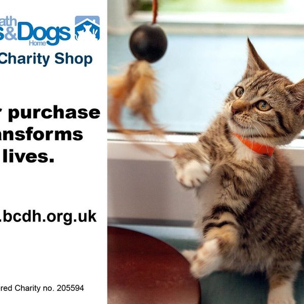 Casio 5154 AO230 Digital Analogue Watch - Working! | WatchCharts ...