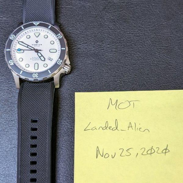 SOLD: Hamtun H2 White Dial, full package | WatchCharts