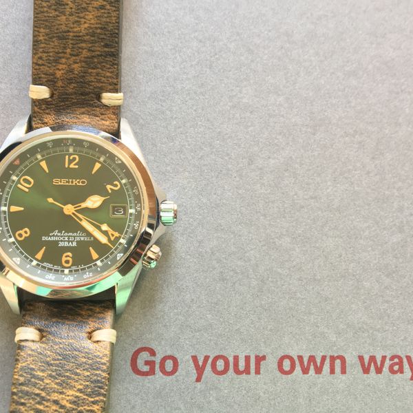 FS: Seiko Alpinist Stainless Steel Case - SARB017 - 550 | WatchCharts