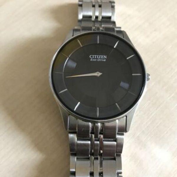 Citizen Eco-Drive Mens Watch With Day Date E101 | WatchCharts