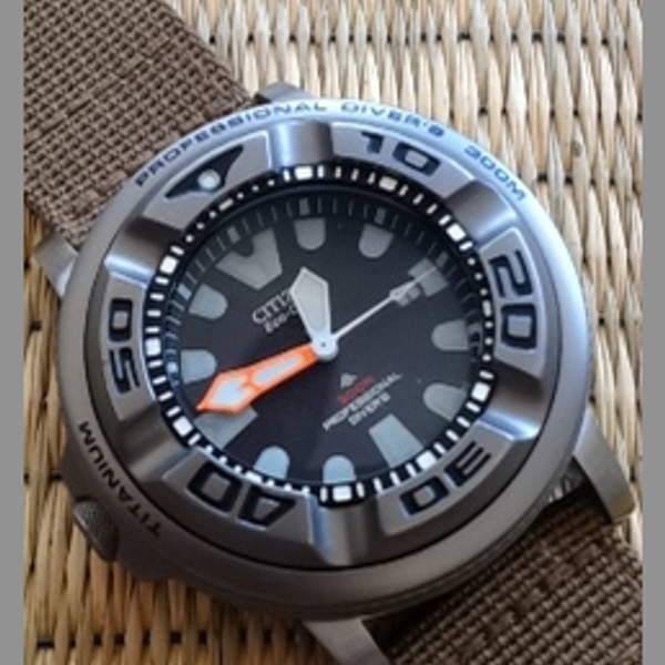 Citizen Titanium EcoZilla 300M Dive Watch w/ Supras | WatchCharts ...