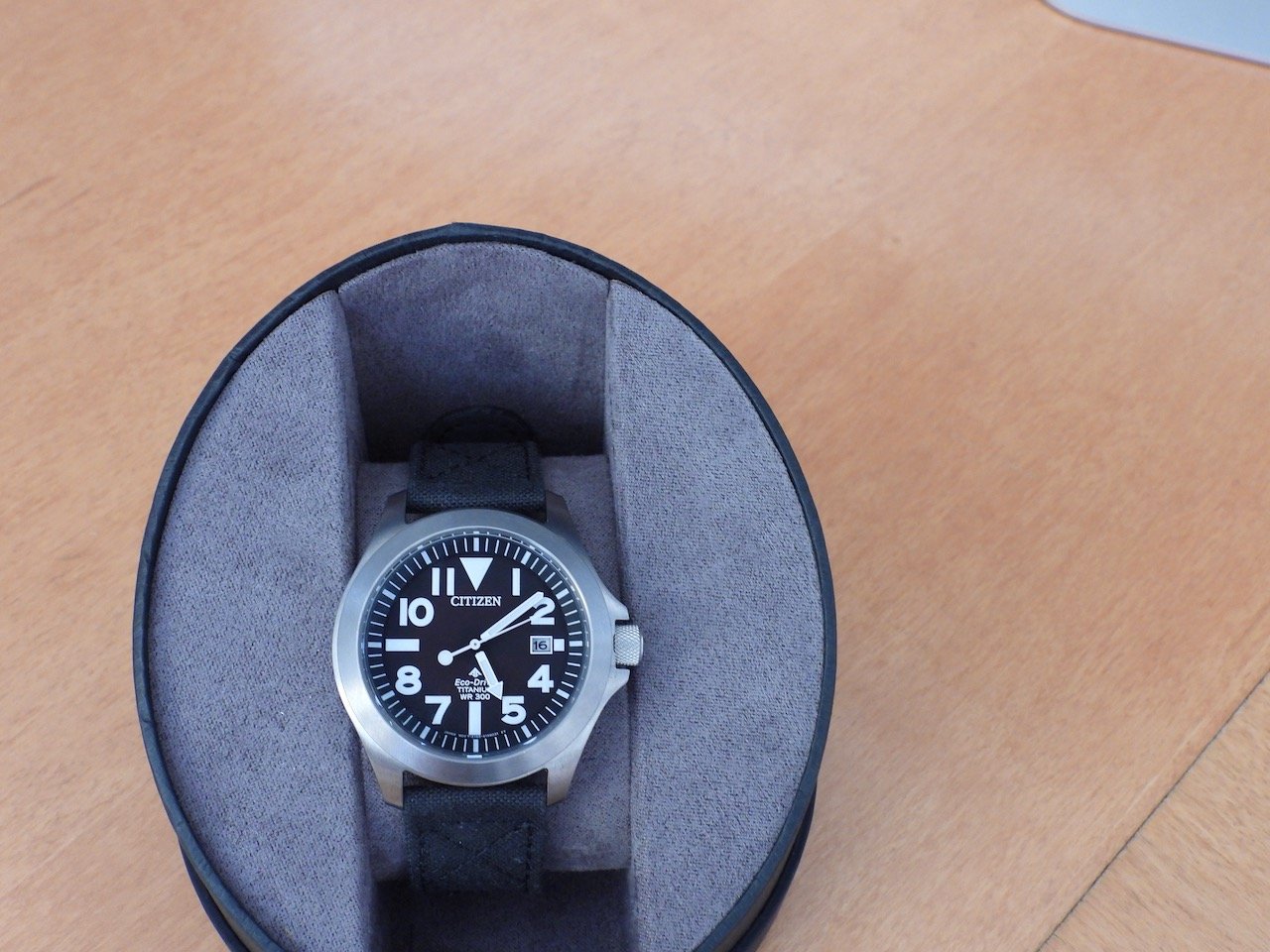 [$250 USD] Citizen Promaster “Ray Mears” Field watch | WatchCharts