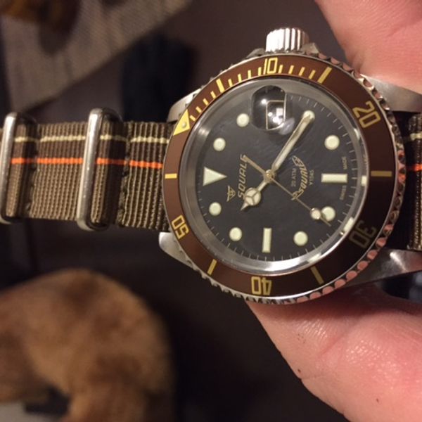 FS: Squale 20 Atmos "Root Beer" | WatchCharts
