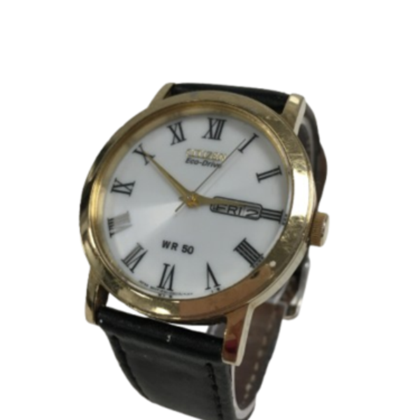 Vintage Citizen Eco-Drive Men's Watch WR 50 Roman Numerals Pre Loved ...