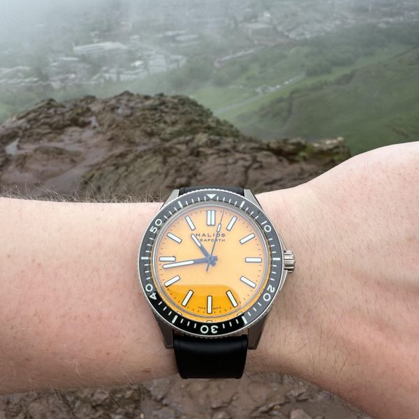 [WTS/WTT] Halios Seaforth titanium Bahama Yellow REDUCED AGAIN ...