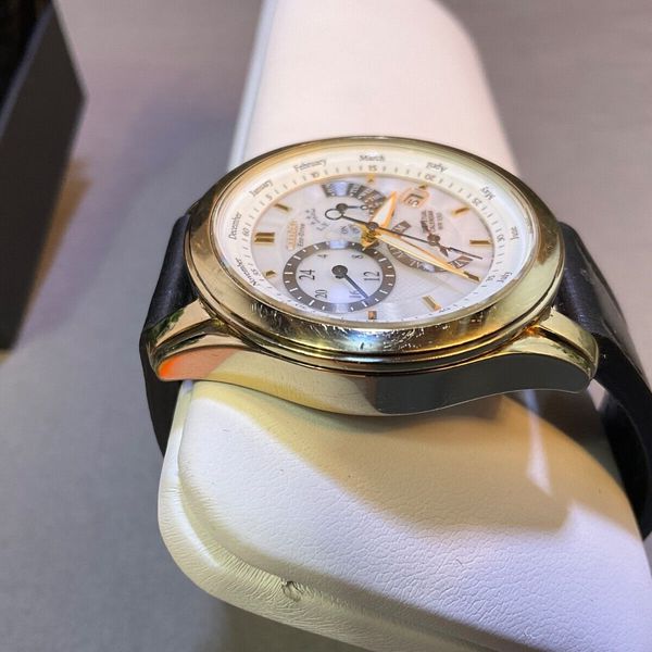 Citizen Eco Drive Perpetual Calendar Watch | WatchCharts Marketplace