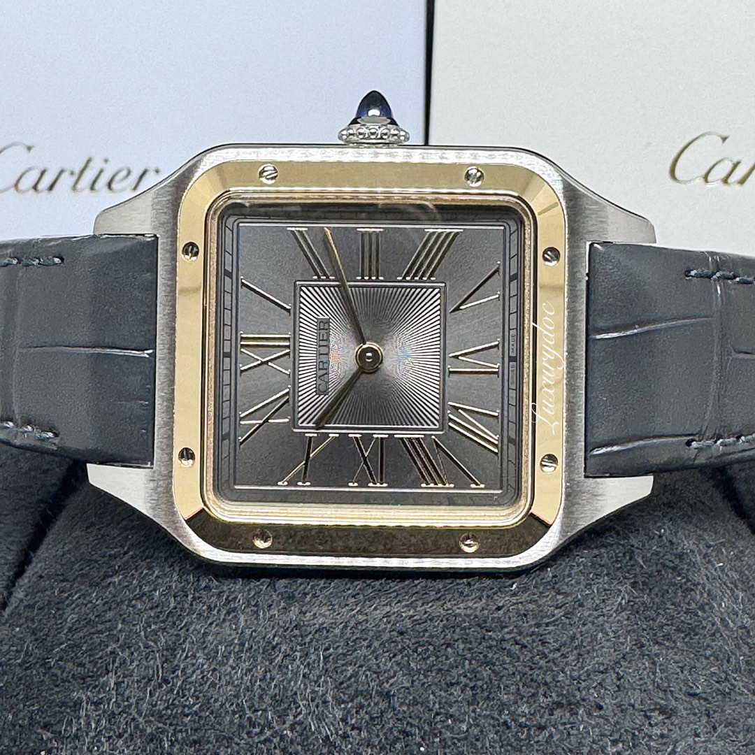 Cartier Santos-Dumont W2SA0028 Price as of June 2025 | WatchCharts