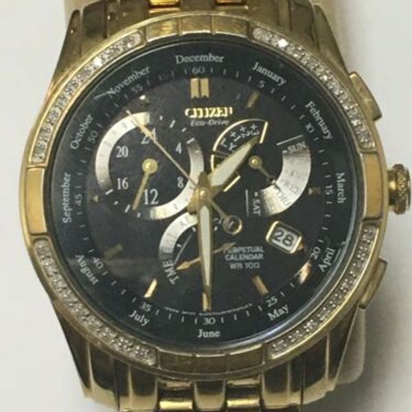 Men's Citizen Eco Drive E870-S043239 Perpetual Calendar Wristwatch ...