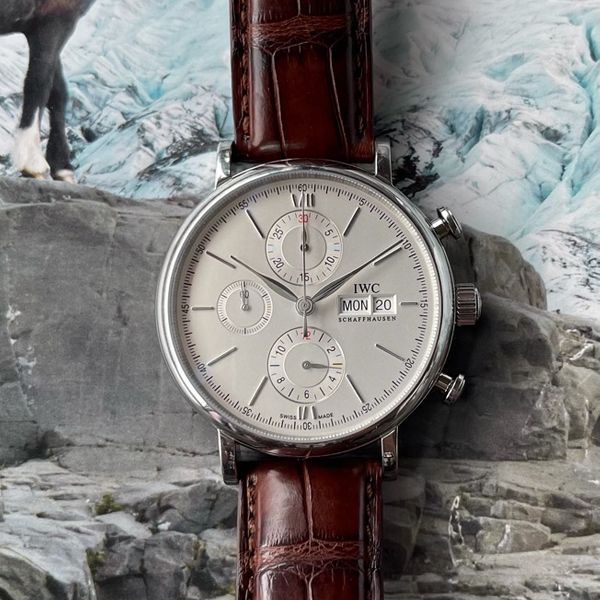 FS:IWC Portofino Chronograph Silver Dial Automatic IW391027 ...