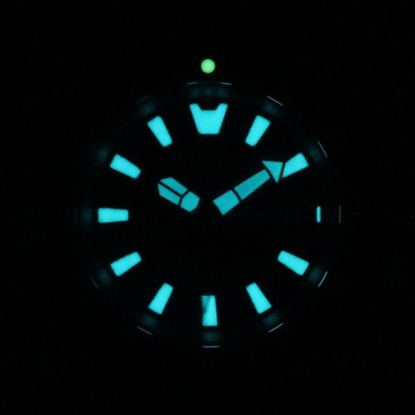 Citizen Promaster Copper Dial Automatic Diver's 200M Men's Watch NY0164 ...