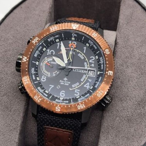 Citizen Promaster Eco-Drive Compass Altichron Multifunction Watch ...