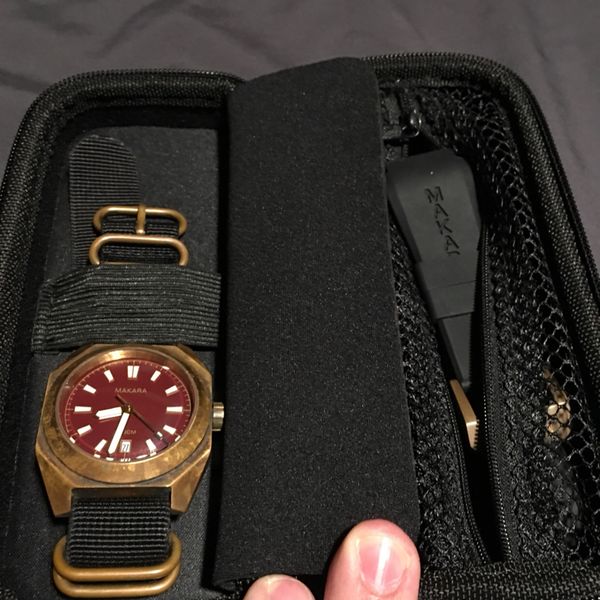 FSOT: Makara Hawksbill Sea Turtle Maroon Dial | WatchCharts Marketplace