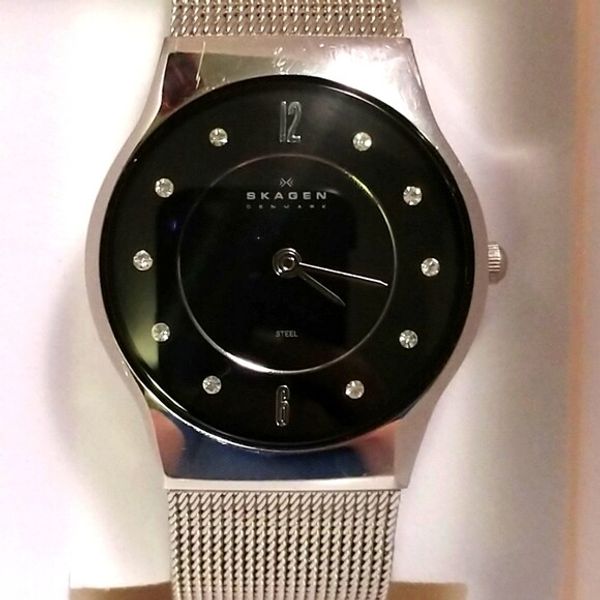 Skagen Stainless Steel Mesh Watch | WatchCharts Marketplace