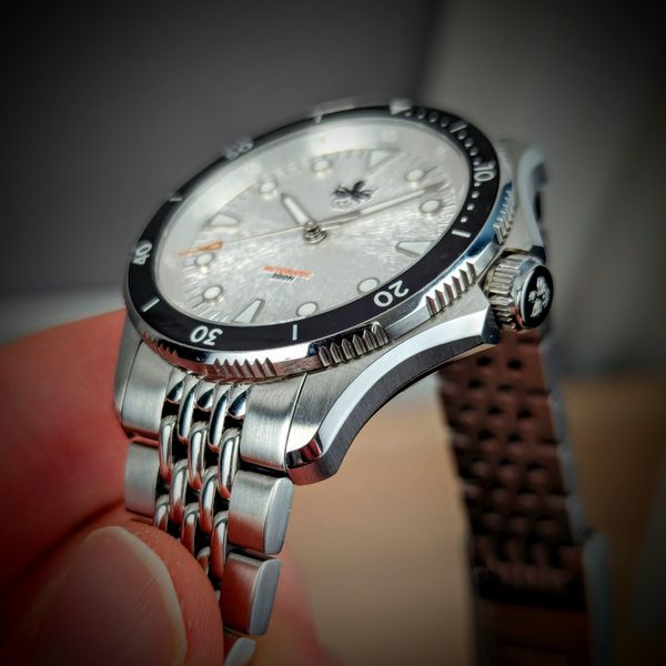 FS: Phoibos Delphinus Silver Diver | WatchCharts Marketplace