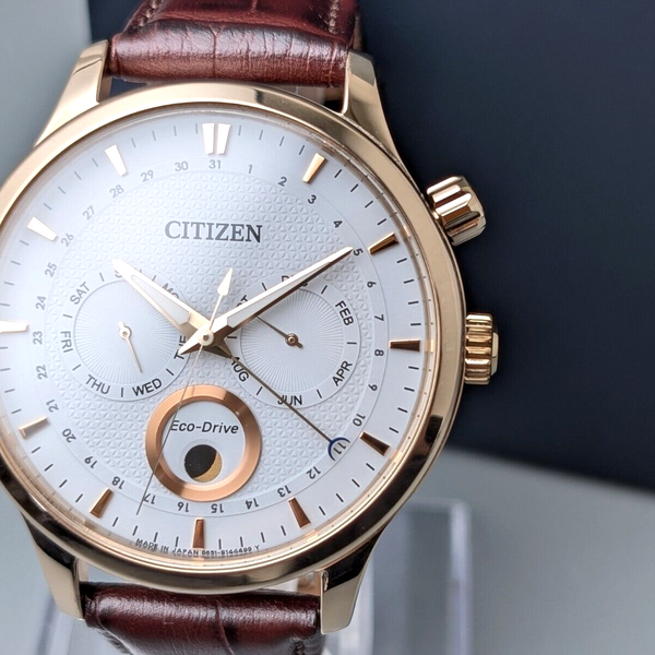 Citizen Eco-Drive Moon Phase 8651-s104009 Gold Sapphire Men's ...