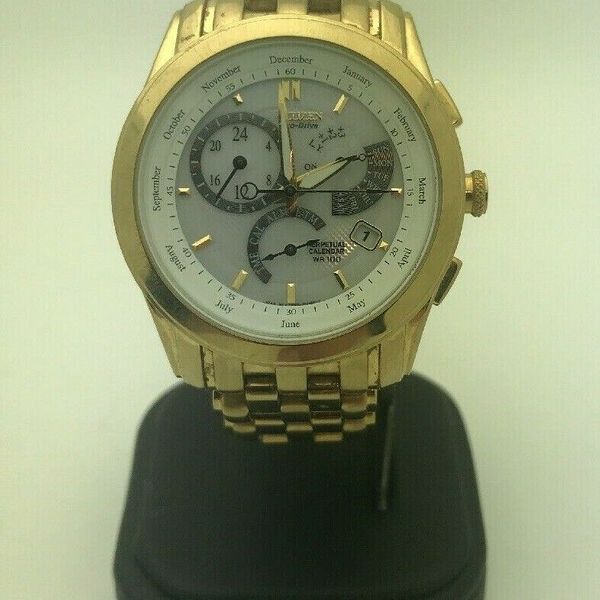 Men's Citizen gold tone Eco-drive E870 Perpetual calendar watch s015286 ...
