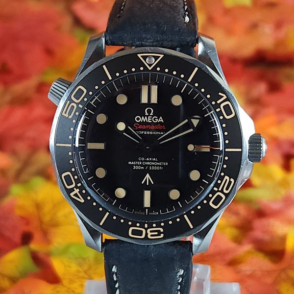 Omega Seamaster No Time To Die 007 42mm Titanium Men’s Watch 210.90.42.20.01.001 | WatchCharts ...