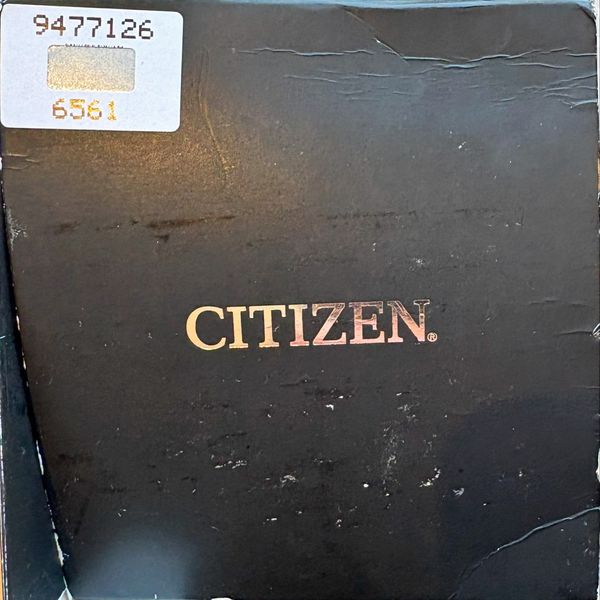 Citizen Eco-Drive Men's Tsuki-Yomi Moon Phase Radio-Controlled Watch ...