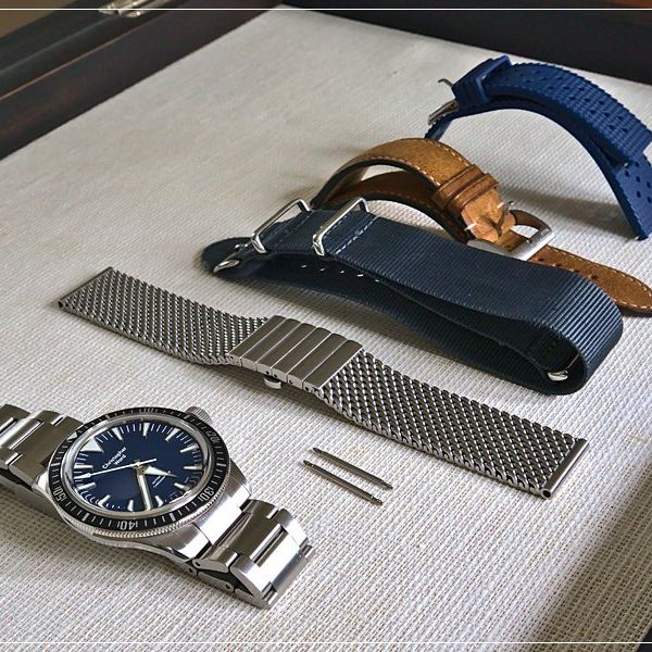 Christopher Ward C65 Dartmouth plus additional straps and Staib mesh ...