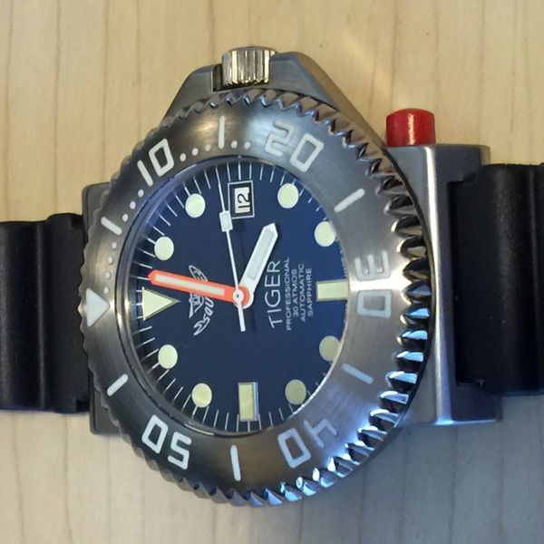 FSOT: Squale Limited edition 2016 Tiger Blue dial | WatchCharts Marketplace
