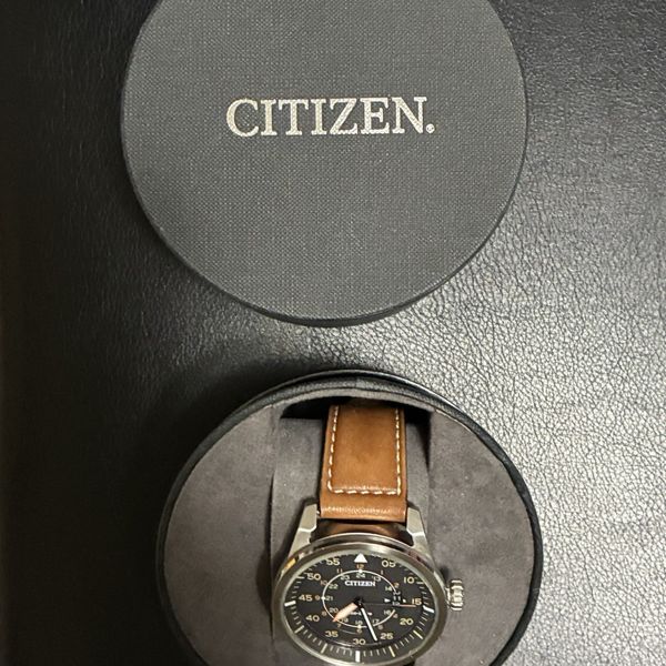 Citizen Menâ s Eco-Drive Date Field Avion Pilot Watch Leather Strap ...