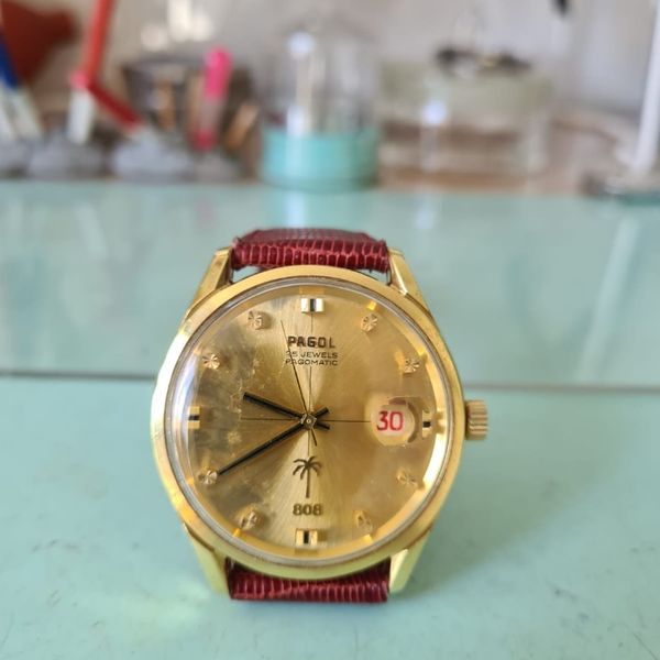 Pagol Automatic Watch | WatchCharts Marketplace