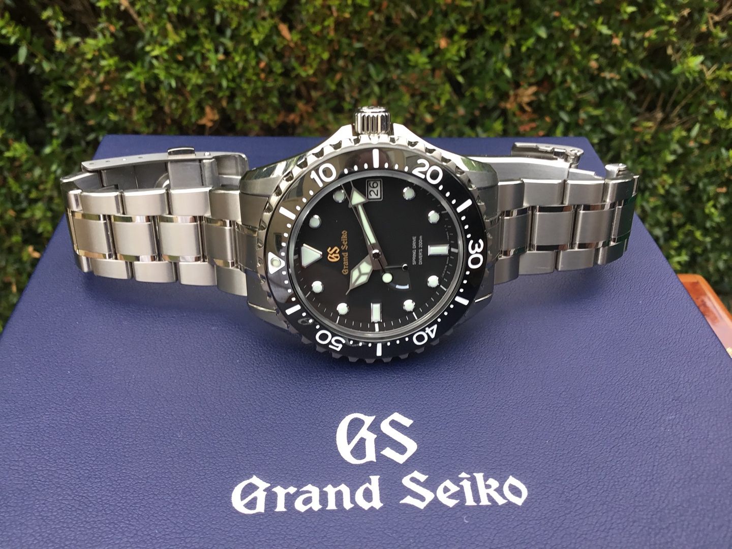 FS: Grand Seiko Spring Drive Diver's Watch SBGA231 Like New | WatchCharts