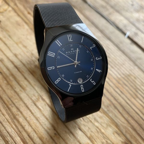 Skagen T233XLTMN Titanium Titan Watch Vintage | WatchCharts Marketplace