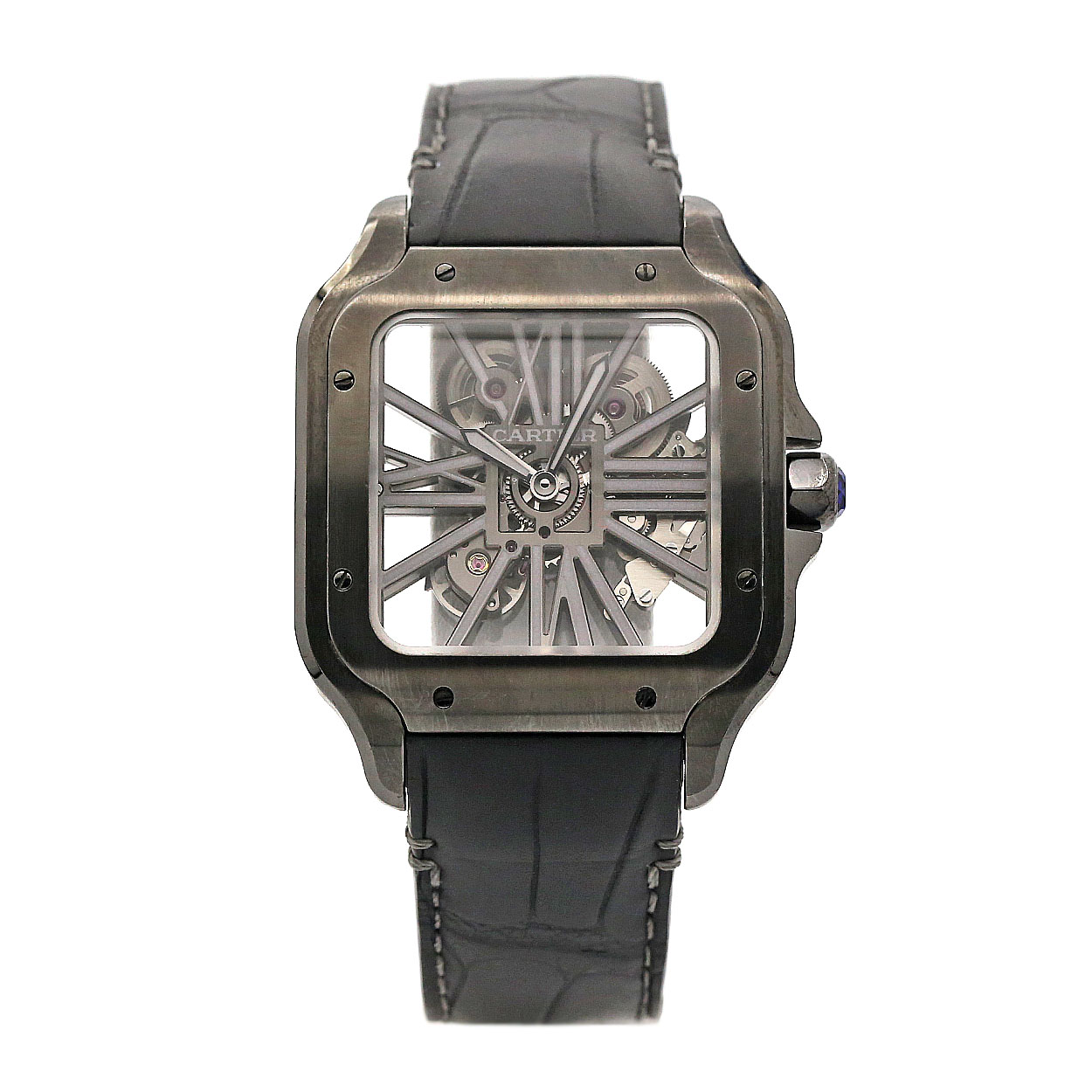 FS: Mens Cartier Santos Stainless Steel w/ Skeleton Roman Dial WHSA0009 ...