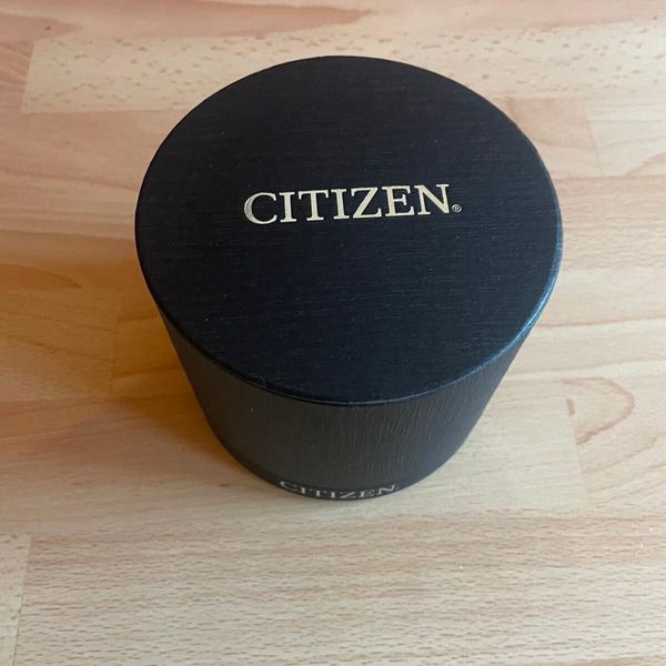 Citizen Men's Day/Date Eco-Drive Titanium E100-K18434 with Original Box ...