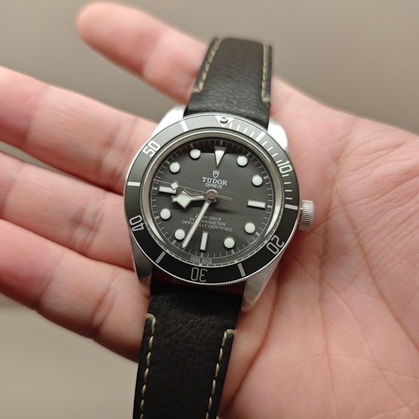 Tudor Black Bay 58 Silver 79010SG (2021) | WatchCharts Marketplace