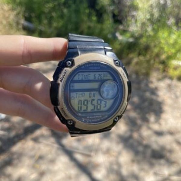 Casio AE-3000W-1A Digital Men's Watch | WatchCharts Marketplace