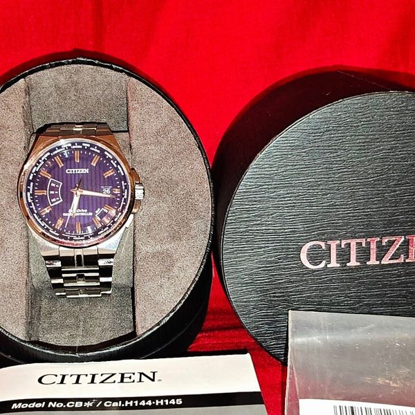 CITIZEN WORLD TIME PERPETUAL 2018 "DISCONTINUED" MEN'S WATCH w/ORIGINAL ...