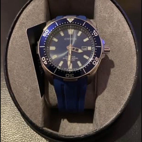 Citizen Promaster Dive Eco Drive 45mm Titanium Watch, BN0201-02M ...