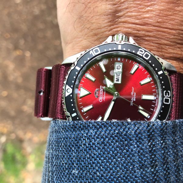 Orient Red Kamasu | WatchCharts Marketplace