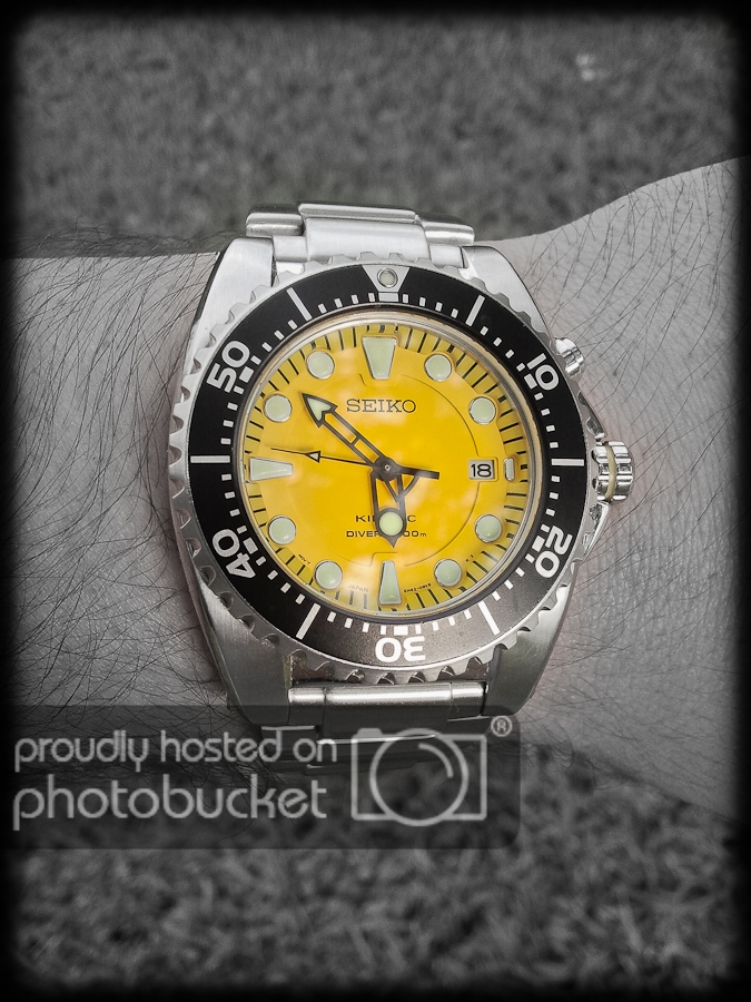 FS: Seiko Yellow BFK - SKA367 | WatchCharts