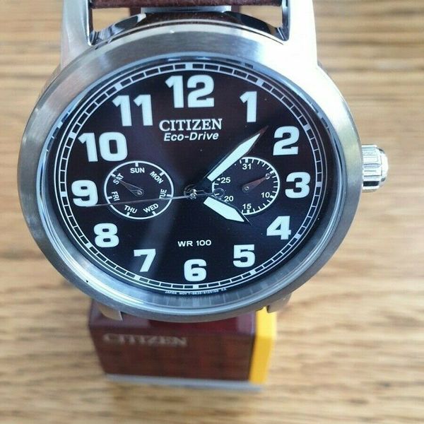 Citizen Eco-Drive Stainless Steel WR100 Day/Date 8635-S086167 ...