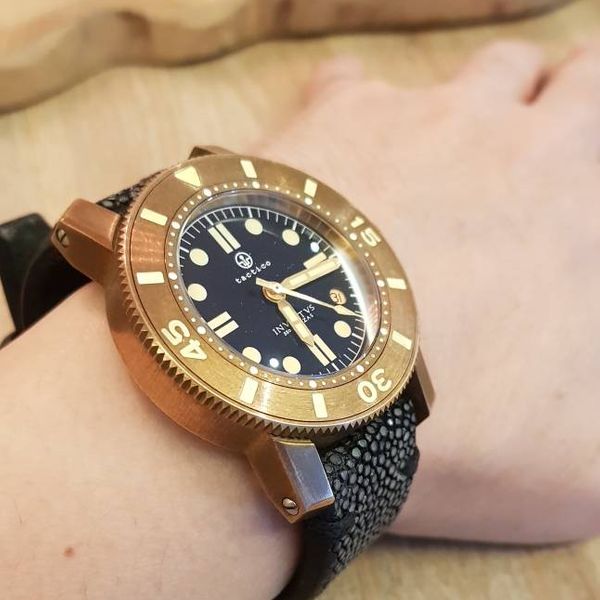 Rare Tactico Invictus Bronze Dive Watch | WatchCharts Marketplace