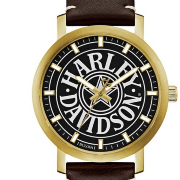 Bulova Harley Davidson 77A100 Fat Boy Analog Watch Men's Gold-Tone ...