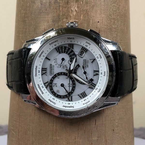 Citizen Eco-Drive Men E870 Perpetual Calendar Solar Leather Band Watch ...