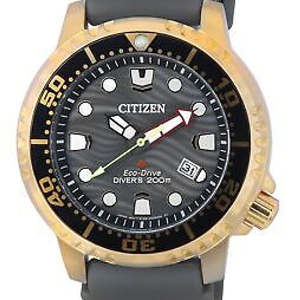 Citizen Promaster Grey Dial Eco-Drive Diver's BN0163-00H 200M Men's ...
