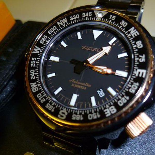 FS: SBDC015 LE Fieldmaster and Japan Made DW6600 without the red G ...