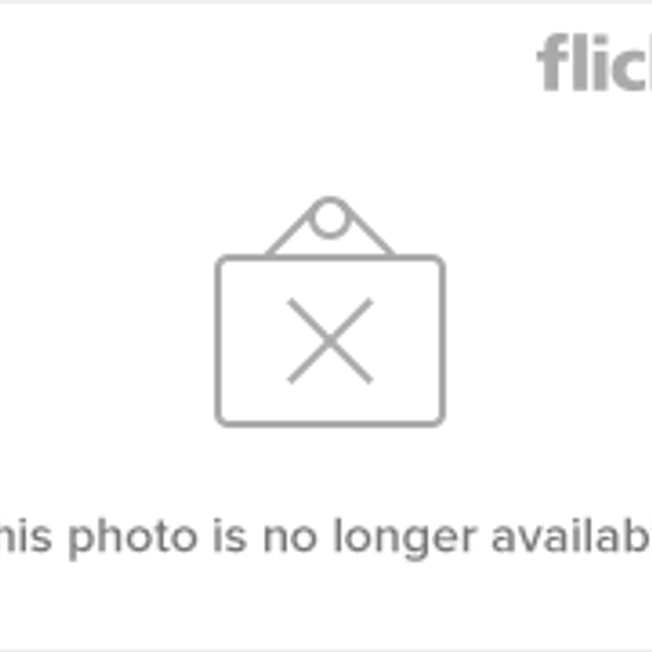 FS: Reactor Trident w/ tritium & superluminova | WatchCharts